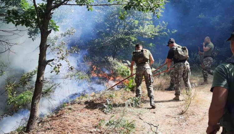 Ndalimi i lëvizjes në pyje në RMV u zgjat deri më 30 shtator - STRUGAPOST